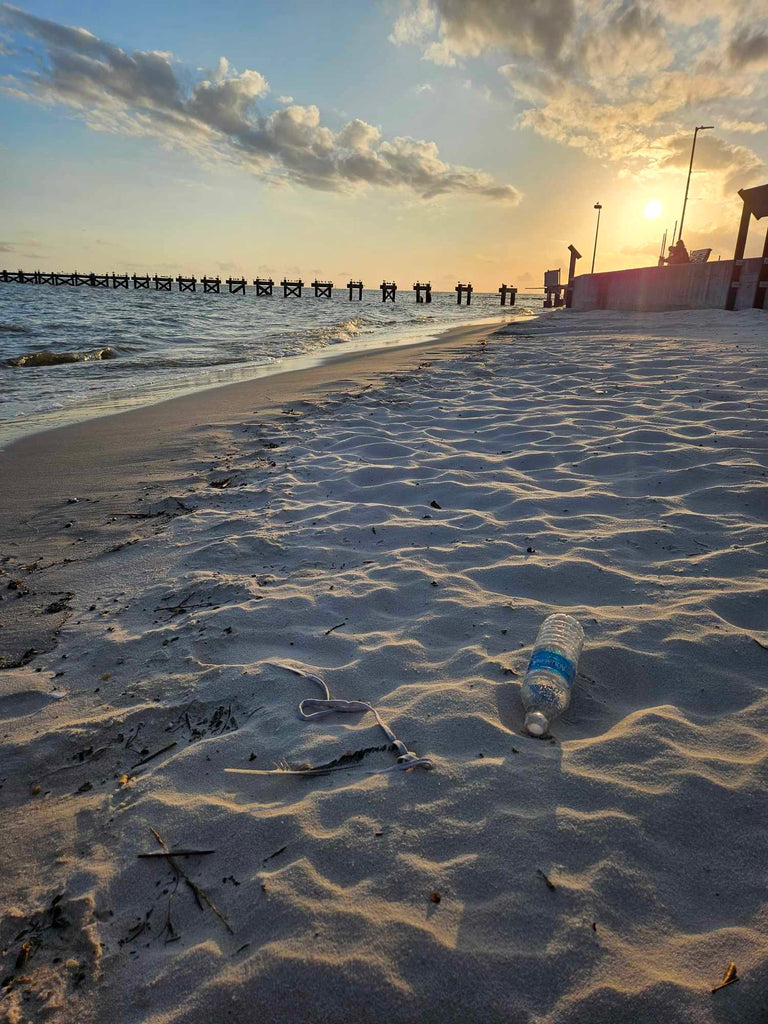 A Tale of Two Beaches - Part 2 – Thalassas